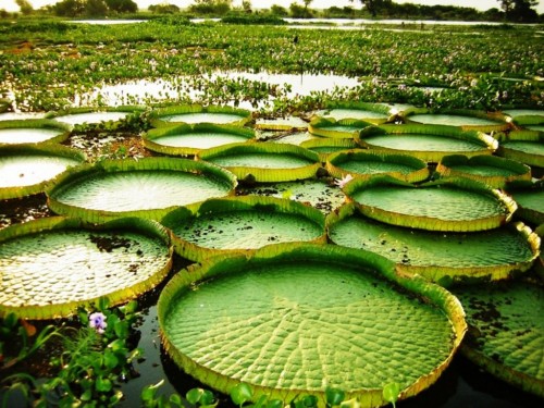 El Rancho del Toto de Romang, Argentina, Santa Fe, Litoral Argentino